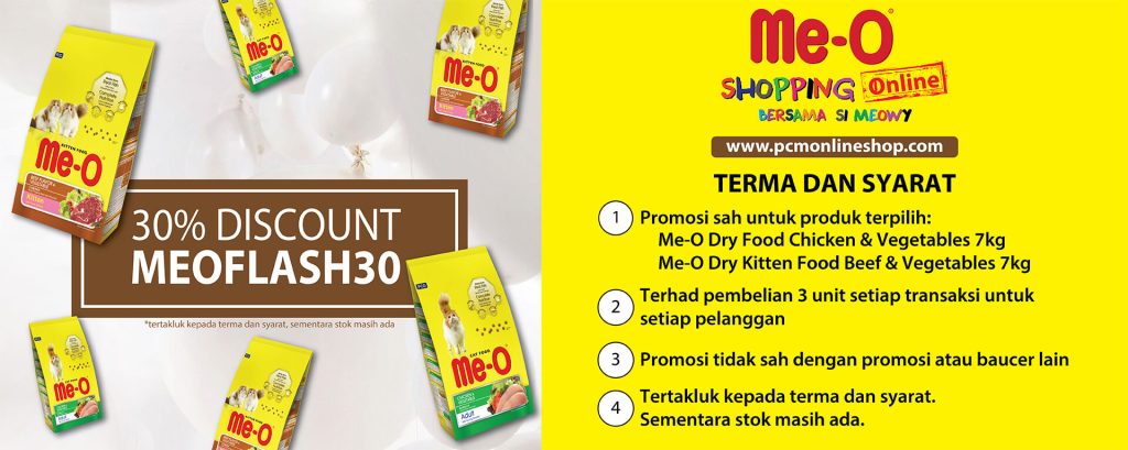 Promotion – Perfect Companion